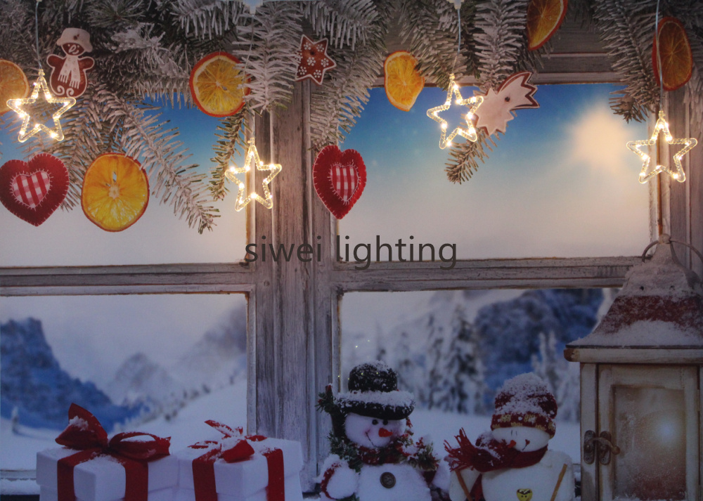 LED copper wire light22 - SIWEILIGHTING