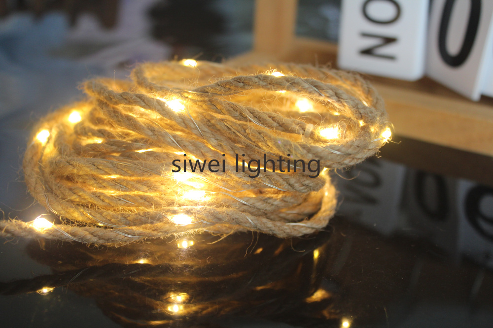 LED copper wire light35 - SIWEILIGHTING
