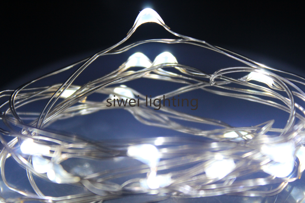 LED copper wire light4 - SIWEILIGHTING